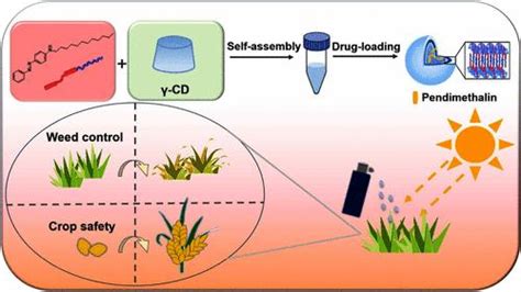 二甲戊乐灵、γ 环糊精和偶氮苯的光响应囊泡用于农药的控制释放 Acs Applied Nano Materials X Mol
