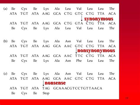 Ppt Mutation Powerpoint Presentation Free Download Id 186049
