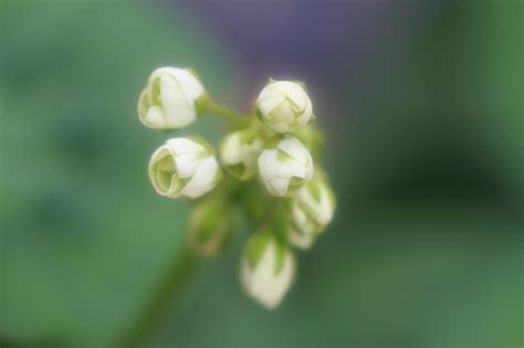 柔らかな陽の中で by REYES26 ID1608607 写真共有サイト PHOTOHITO