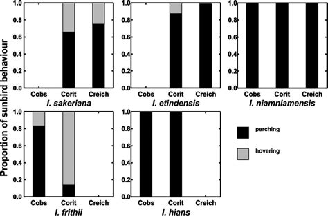 Proportions Of Perching And Hovering Behaviour Of Sunbirds On