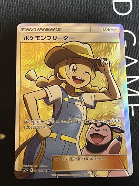まとめ売り ポケモンブリーダー アクア団 マグマ団 By メルカリ
