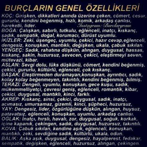 İkizler beni kimse bu kadar iyi anlatamazdi Ikizler Burçlar Ikizler burcu