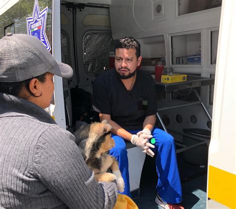 Ambudog En Soledad Brinda Recomendaciones Para El Cuidado De Mascotas
