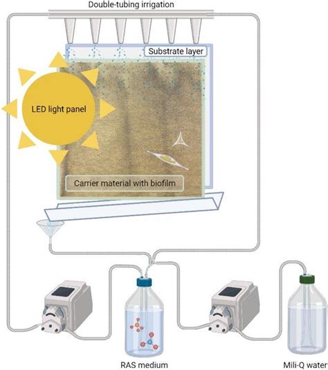 Microalgae Biofilm Reactors For Treating Ras Effluents Aquahoy