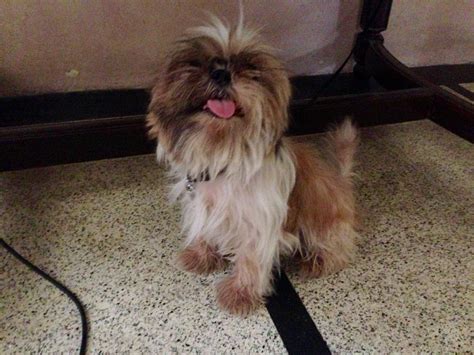 Cutie Derpy Smile R Aww