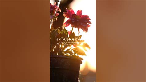 Youtubeshorts Ytshorts Shortsvideo Islamicteachings J2e Youtube