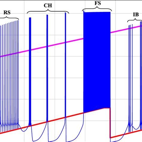 7 Neuron Output Response To Bist Stimuli Download Scientific Diagram