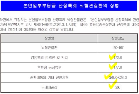 산정특례 진단비 필요한가암 뇌혈관 심장 보험 네이버 블로그