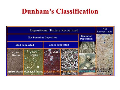 Classifications Of Carbonate Rocks Pdf