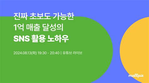 웨비나 Vol1 쌩초보도 가능한 매출 1억 달성 Sns 노하우