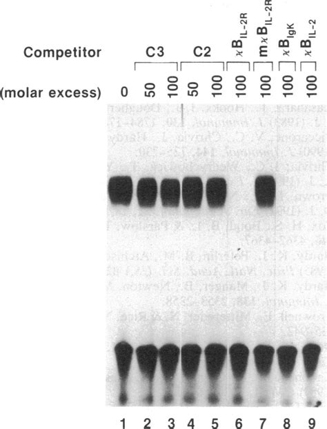 Gel Shift Analysis Of The 32p Labeled Il 2ra Chain Nfkb Binding Site