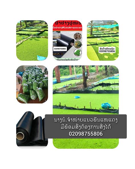 42ລ້ານກີບ ຕອນ ຂາຍດີນຈັດສັນຜອນຍາວ Facebook