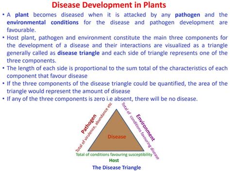 Ppp 211 Lecture 8pptx