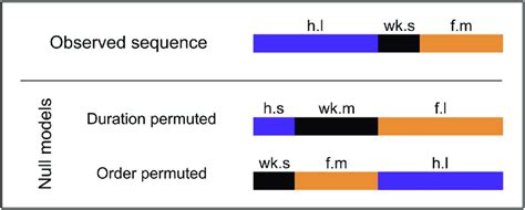 Statistical Null Model Hypotheses Schematic By Shuffling Bout