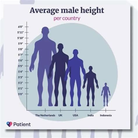 How Women On Dating Apps See Male Height Rredscarepod
