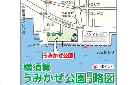 うみかぜ公園でタチウオにアジにマコガレイの釣果確認横須賀釣り方は色々 アウトドア カーライフカー用品サイトMOBILAモビラ