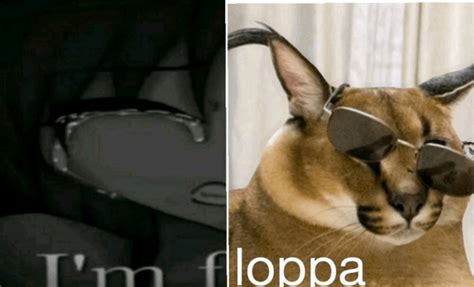 Im Floppa Rbigfloppa