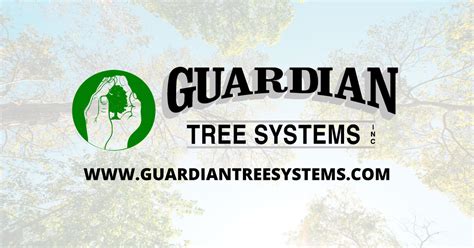 Tree Cabling And Bracing