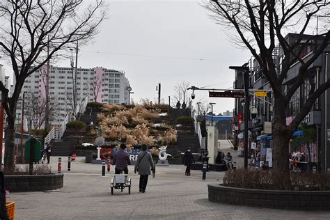 강릉 중앙시장 월화거리