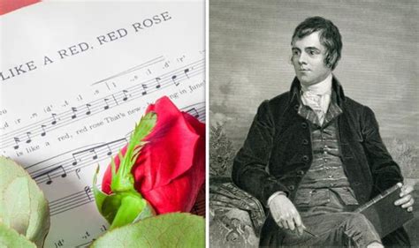 Burns Night Greeting 2019 How To Celebrate Robert Burns Burns Night