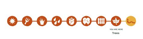 Mapping Tree Habitats Education Nature Park