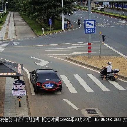 封开这些逆行车辆继续曝光 违法 封州 车牌号码