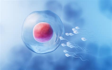 8 Signs Of Healthy Sperm And How To Maintain Them Ram Prakash