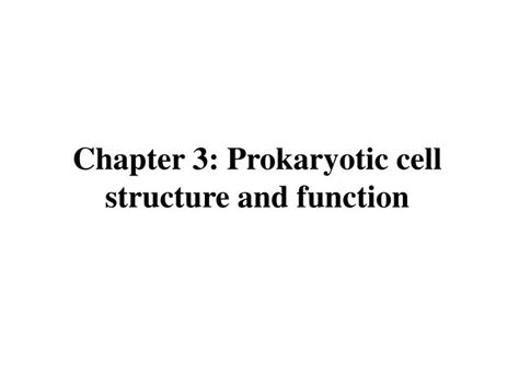 PPT Chapter 3 Prokaryotic Cell Structure And Function PowerPoint Presentation ID 7001572