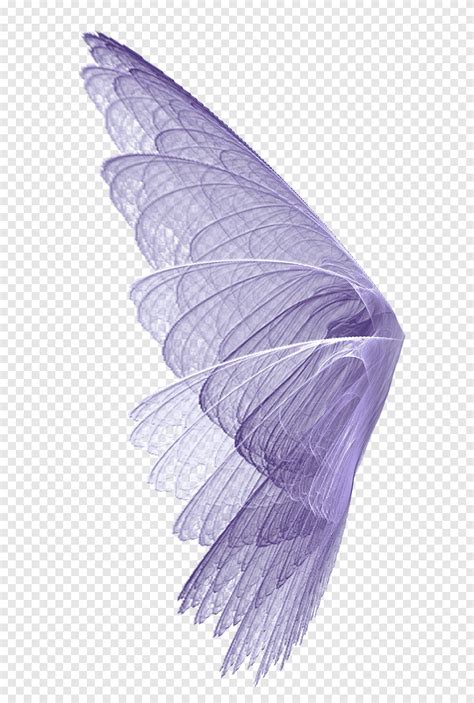 보라색 요정 날개 날개 깃털 투명도 및 반투명 깃털 떨어지는 재료 만화 판타지 보라색 날개 만화 캐릭터 보라색 Png Pngegg