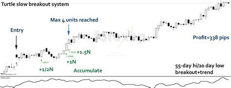 A Simple Turtle Trading System