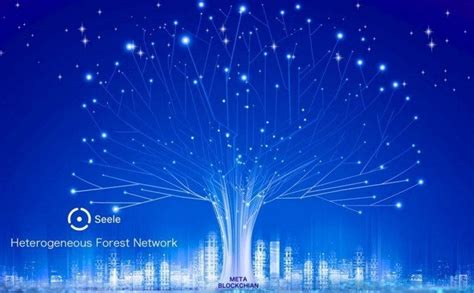 Seele Heterogeneous Blockchain Most Blockchains Are Single Chain