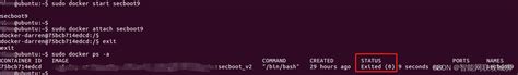 Linux下docker的常用命令sudo Docker Ps A Csdn博客