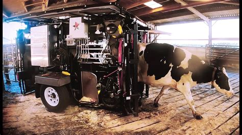 Incredible Machines At Work Worlds Best Hoof Trimming Crush The Hoof Gp Youtube
