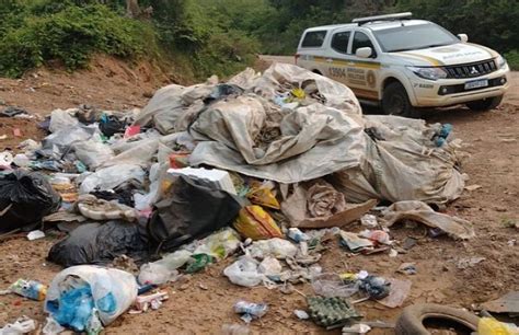 Brigada Militar Flagra Crime Ambiental Na Localidade Do 3° Lageado Em