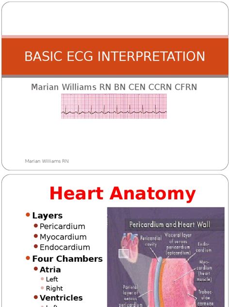 Basic Ecg Interpretation Mwppt Heart Electrocardiography