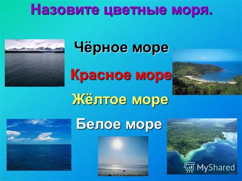 Презентация на тему Путешествие по станциям Экологическая игра