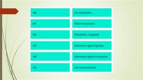 Asia Classification Powerpoint Presentation Ppt