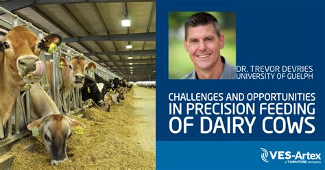 Challenges And Opportunities In Precision Feeding Dairy Cows Ves Artex