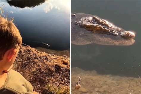 Disturbing Video Emerges After Dad Taken By Crocodile In Front Of