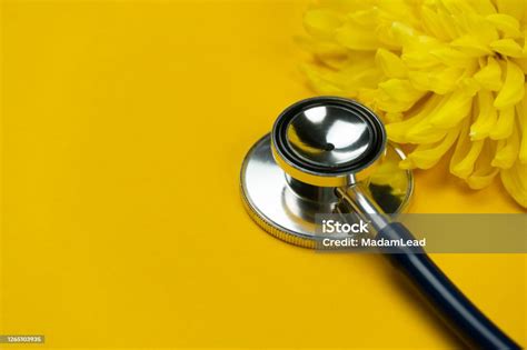 흰색 배경에 노란색 자연 꽃과 의사 건강 진단을위한 청진기 개화기에 대한 스톡 사진 및 기타 이미지 개화기 청진기 0명