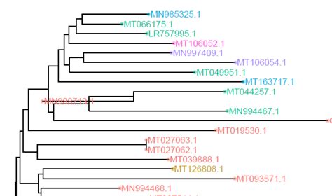 Reverse Branch In My Ggtree · Issue 305 · Yulab Smuggtree · Github