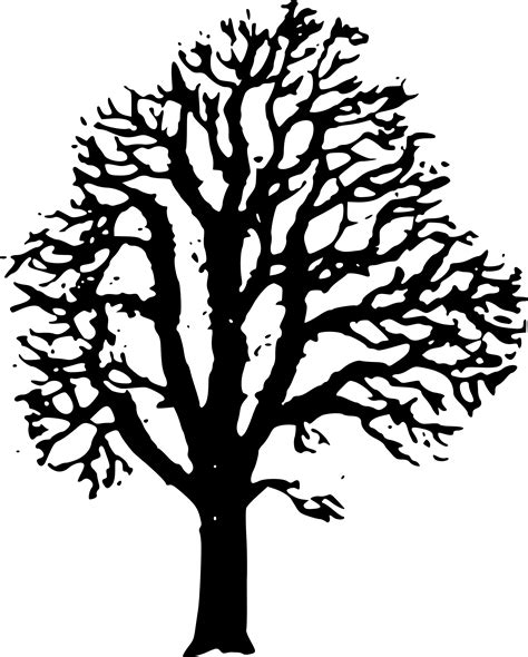 Free Chestnut Tree Cliparts Download Free Chestnut Tree Cliparts Png