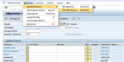 data browser se16 se16n und se16h anwendungen