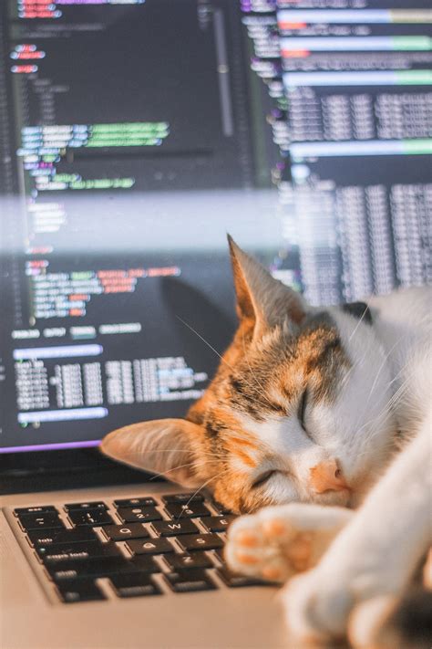 Lazy Coding Exploring ‘drush Generate By Louis Nagtegaal