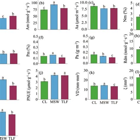 Differences In Leaf Economic Traits In Three Geographical Populations