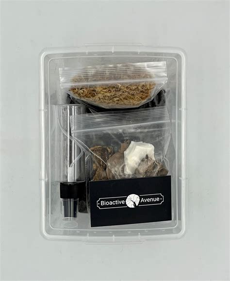 Small Isopod Starter Kit Bioactive Avenue