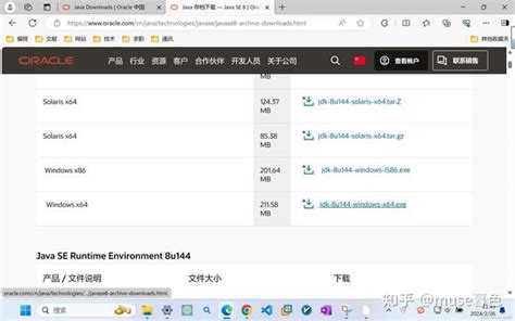 Windows11下java Se 8，jdk下载安装及path路径（环境变量）设置 知乎