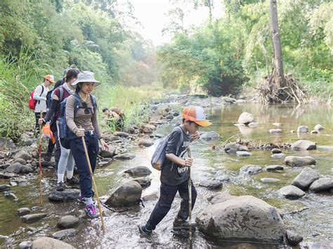 TOUR TREKKING VƯỜN QUỐC GIA BÙ GIA MẬP GLAMPTRIP