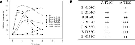 Figure 1 From Engineered Covalent Leucotoxin Heterodimers Form Functional Pores Insights Into S