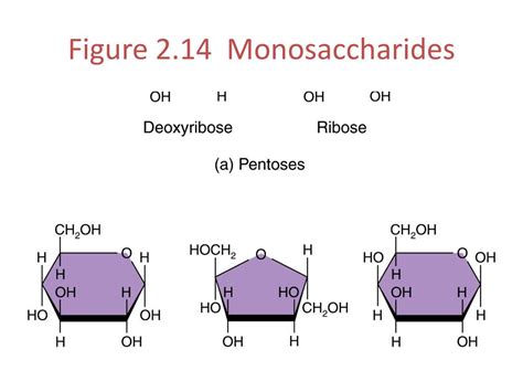 Covalent Bonds Covalent Bond Ppt Download